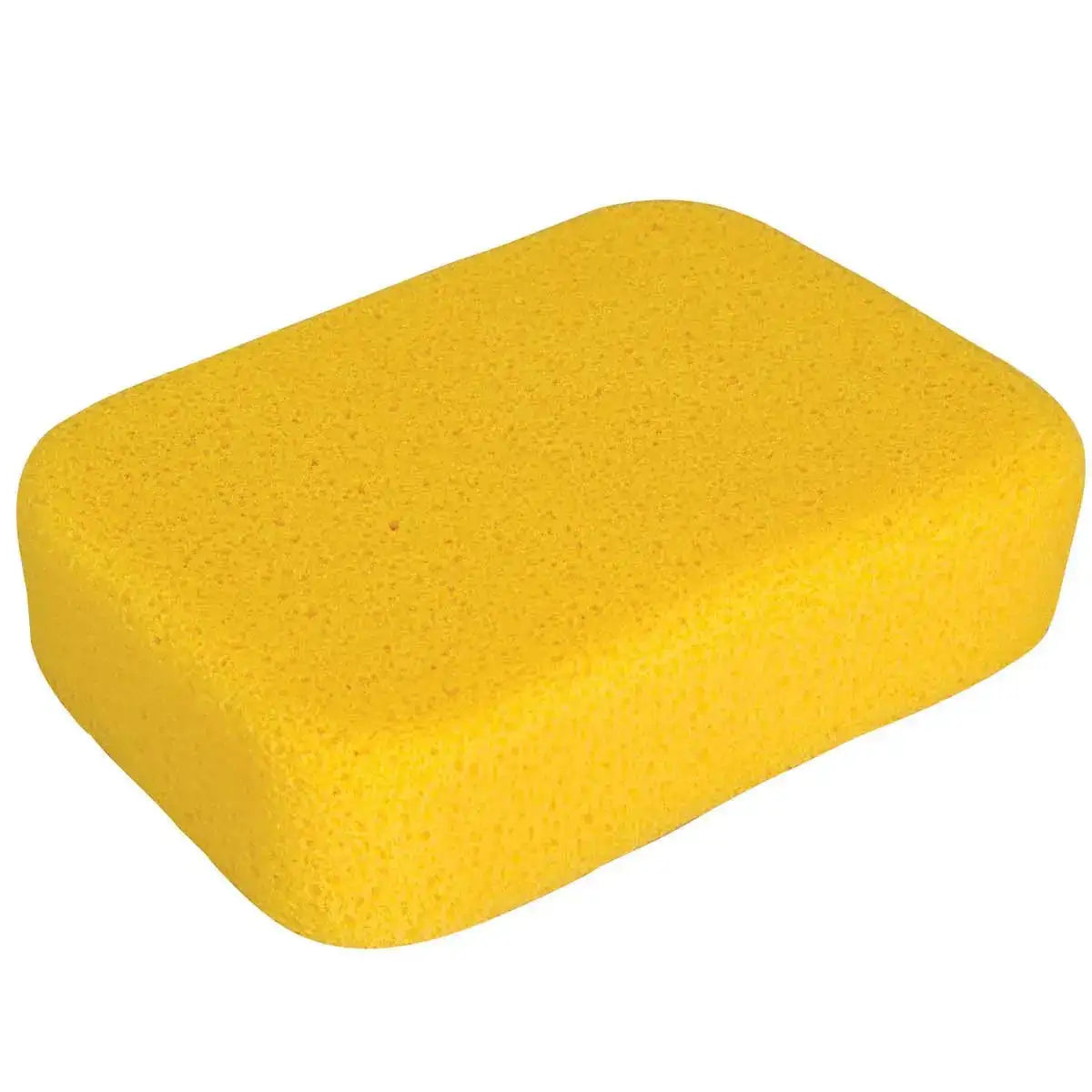 Extra Large Sponges for Cleaning Grout | Contractors Direct