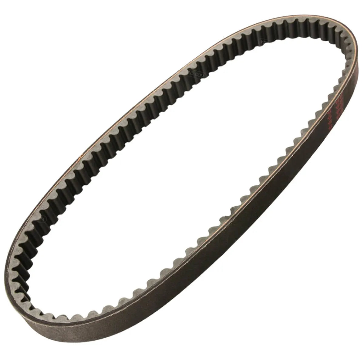 Imer Workman II Multi Mixer V-Belt, 2210950